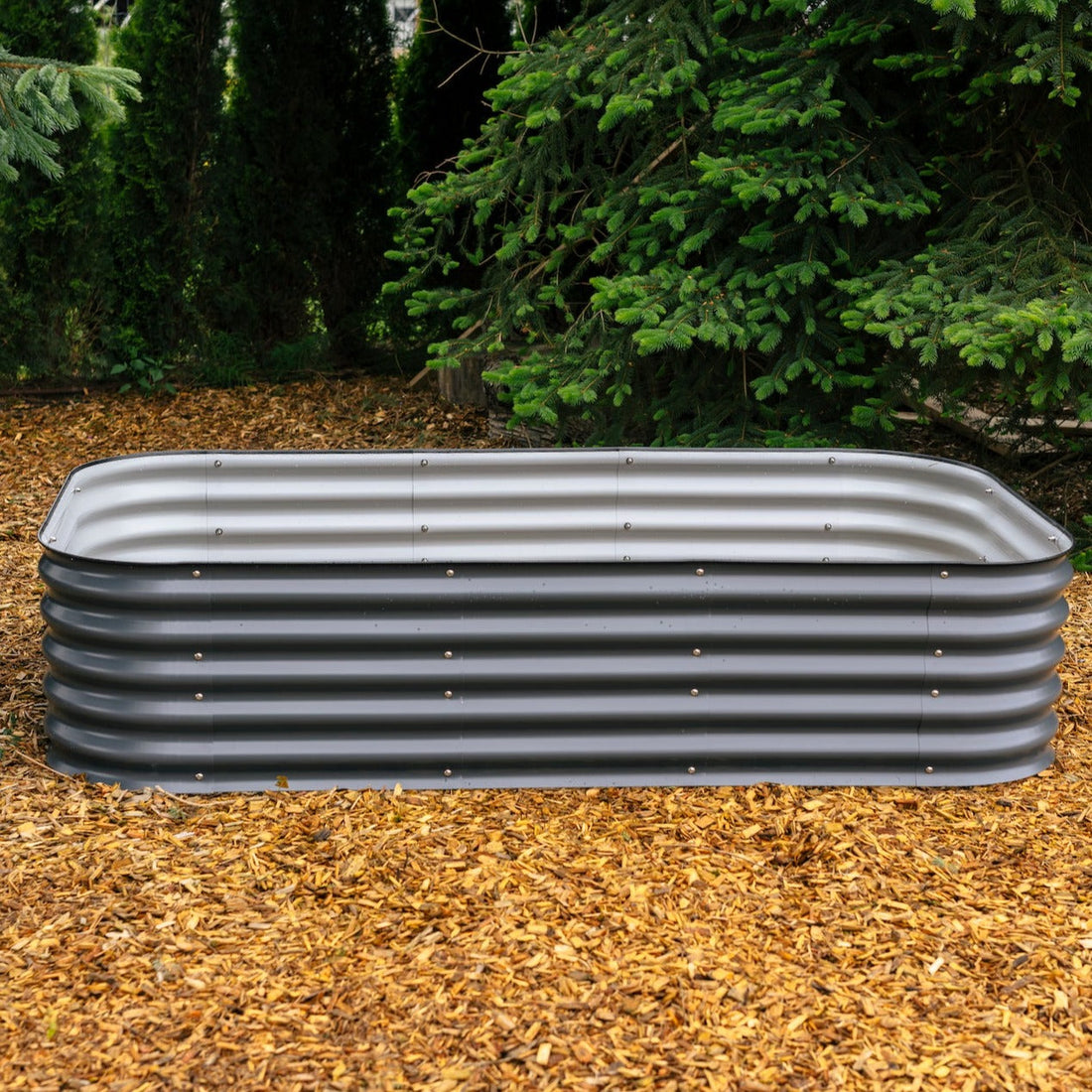 Sprout Box – van der Meer Garden Centre