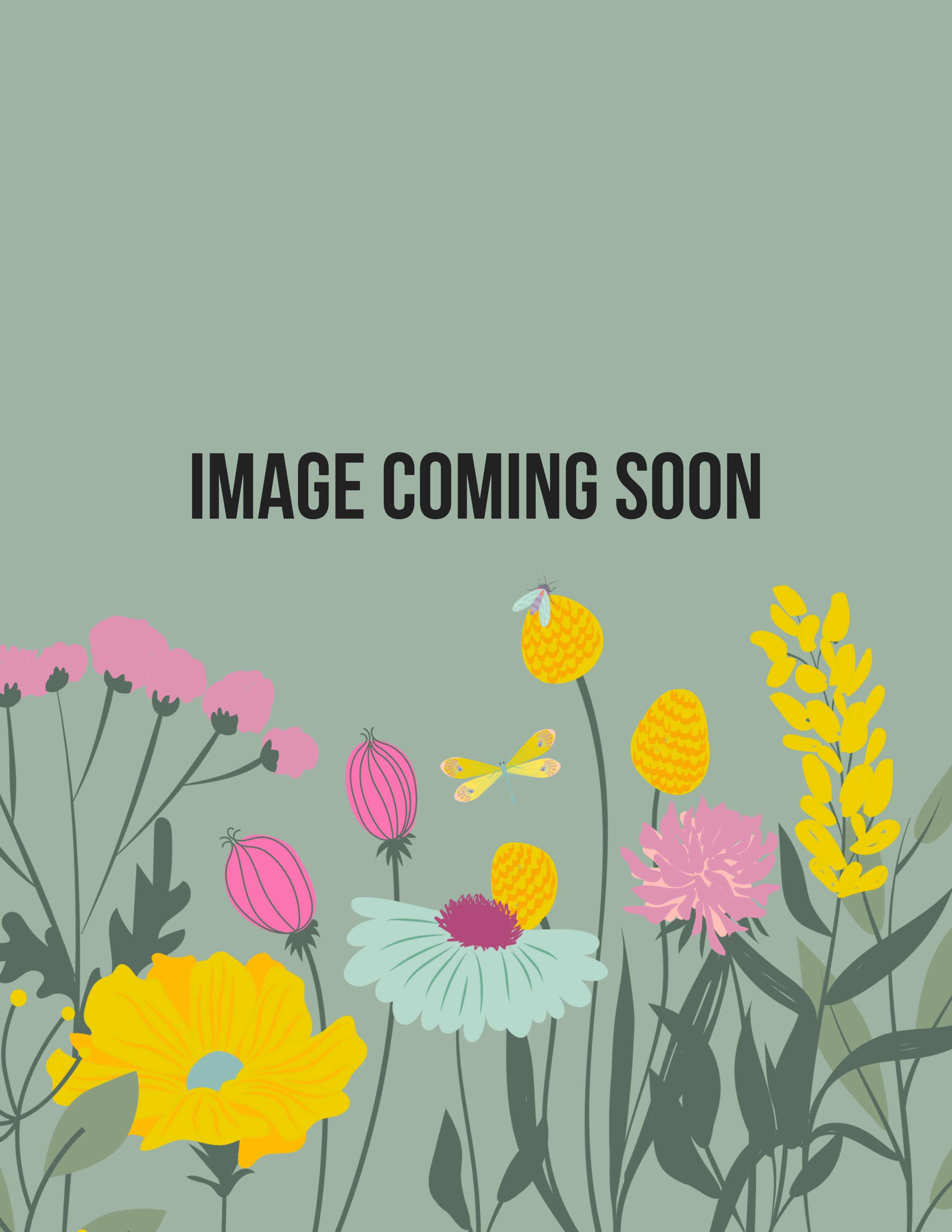 Spring King Mini Rose Salvia – van der Meer Garden Centre